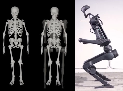 Terminator Endoskeleton as Humanoid Robot: 3D Printed Experiment