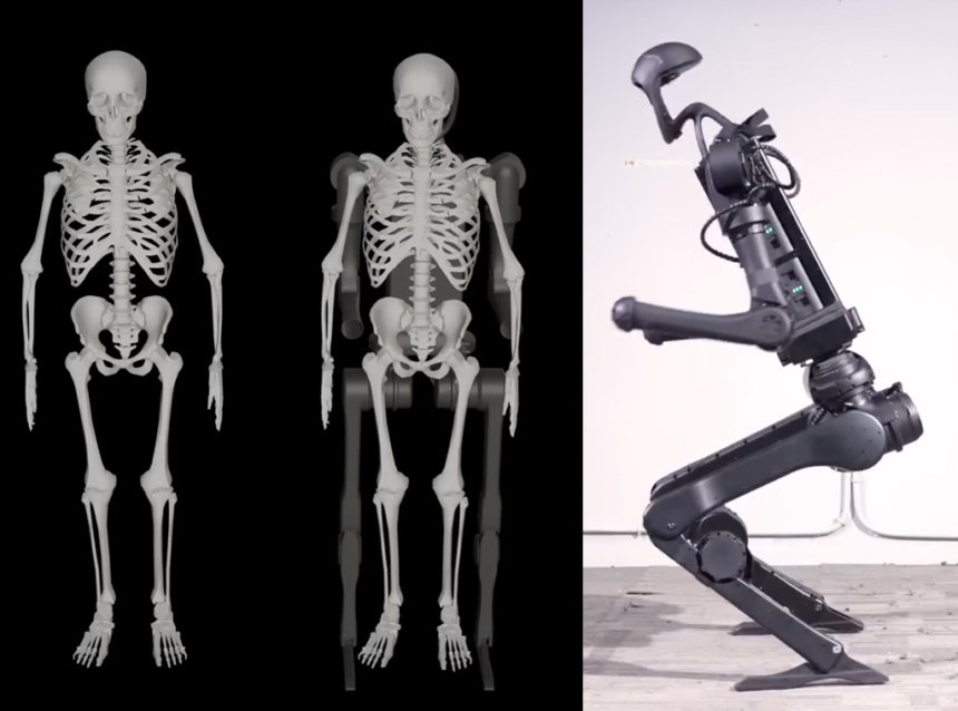 Terminator Endoskeleton as Humanoid Robot: 3D Printed Experiment