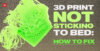 3D Printer Bed Adhesion: How to Fix 3D Print Not Sticking to Bed